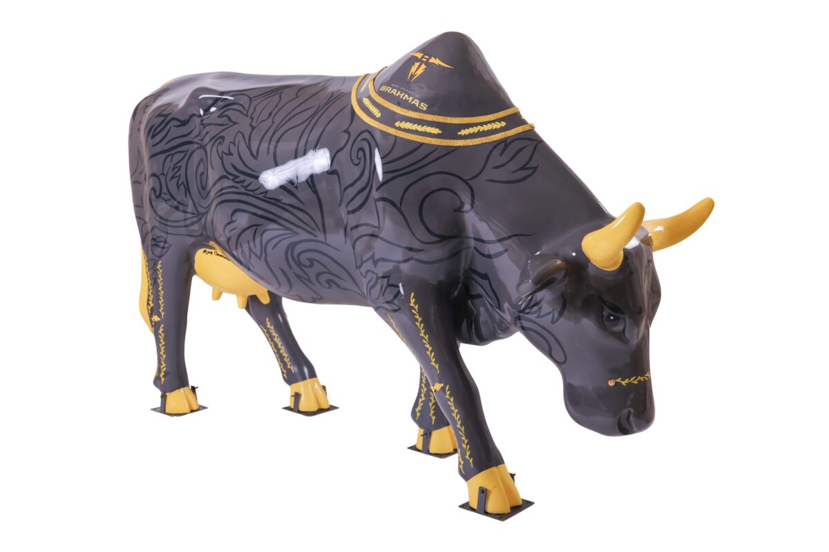 CowParade San Antonio 2025 – CHRISTUS Children's Foundation